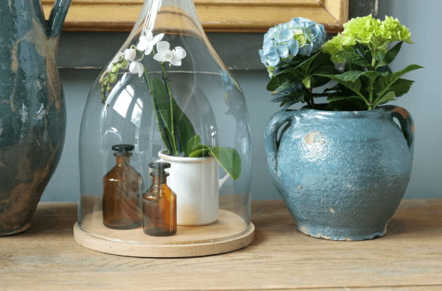 The Ultimate Coastal Holiday Gift Guide for Every Style – sea green designs